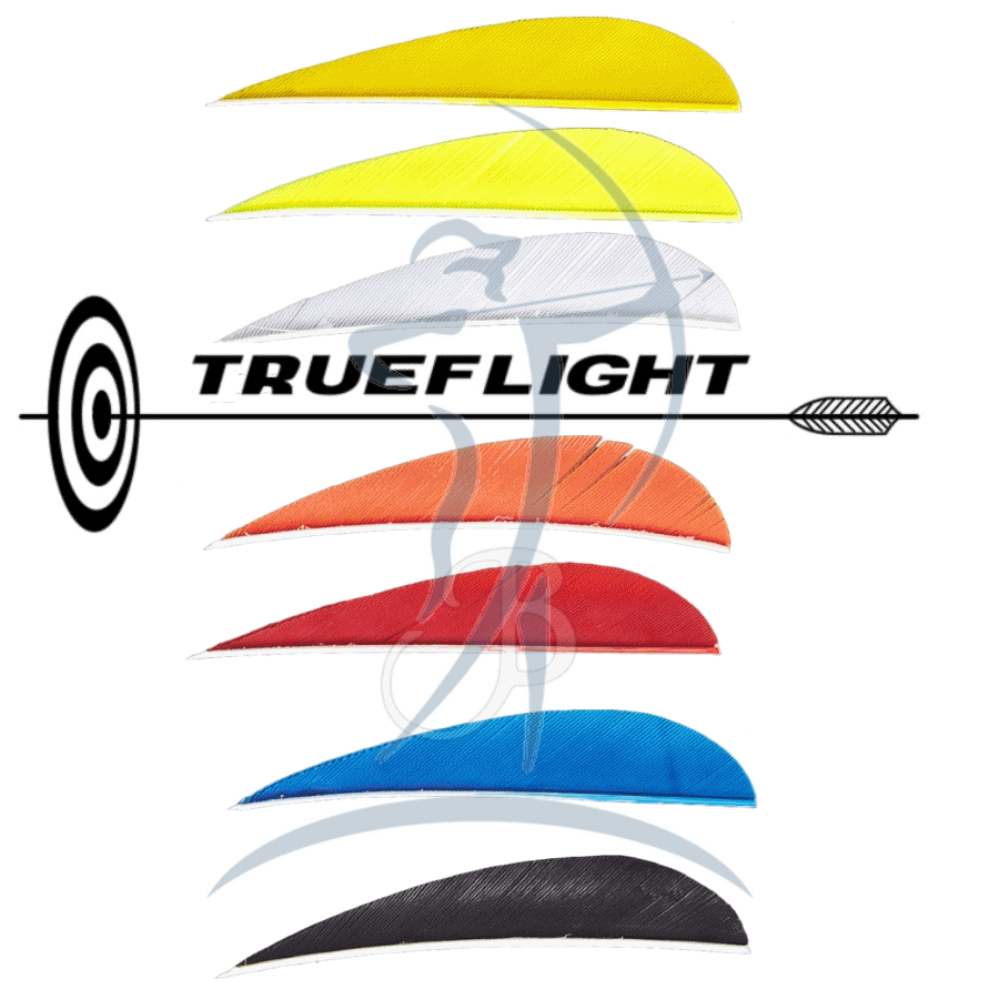 Trueflight Feathers 2,5 RW (Parabolic) » Bogentandler.at