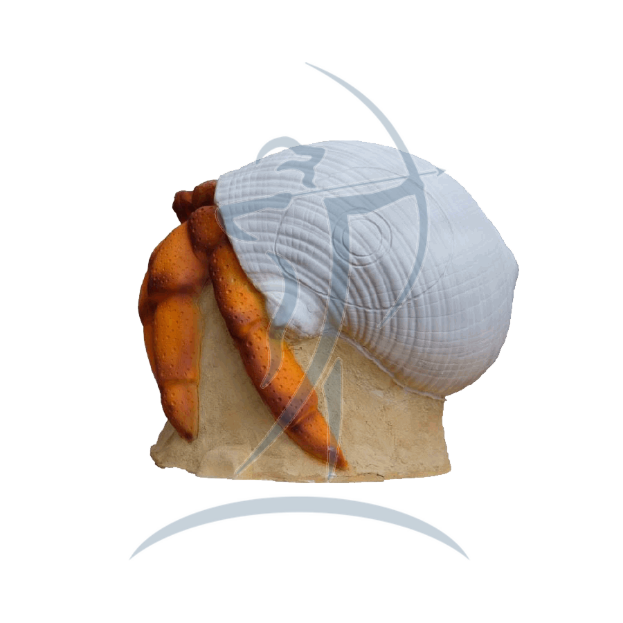 3d Int Hermit Crab Bogentandlerat