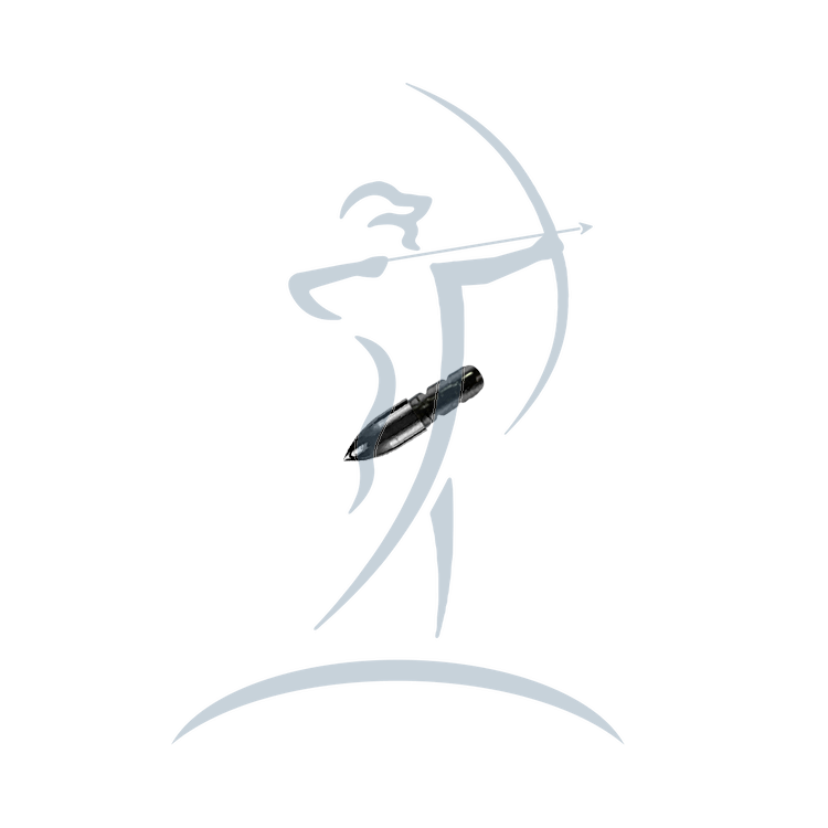 EK Point for Cobra System R9/RX/Whipshot Bolts 15 » Bogentandler.at